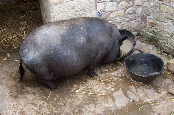 OLD HOLLY FARM - Updated February 2025 - Cabus Nook Lane, Preston ...