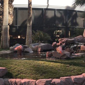 WILDLIFE HABITAT - 331 Photos & 74 Reviews - Zoos - 3555 Las Vegas Blvd ...