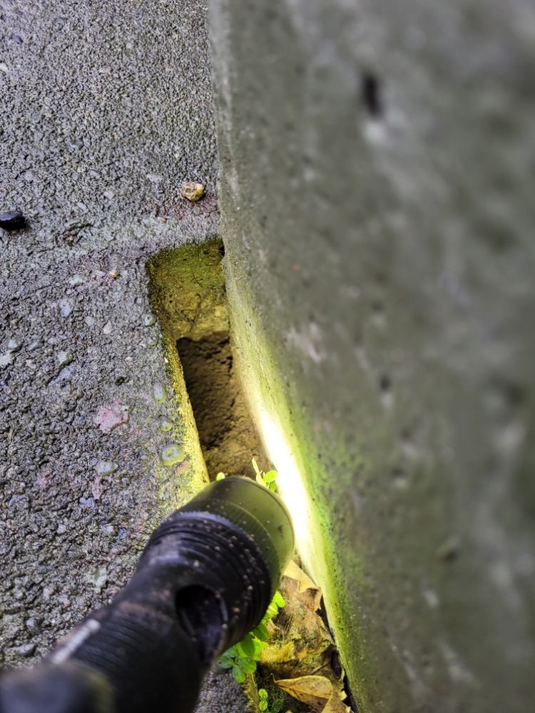 BE GONE PEST SOLUTIONS - Updated November 2025 - 22 Photos - 4209 SE ...