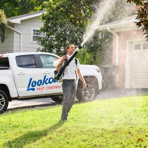 ACTIVE PEST CONTROL - Updated September 2025 - 22 Photos & 111 Reviews ...