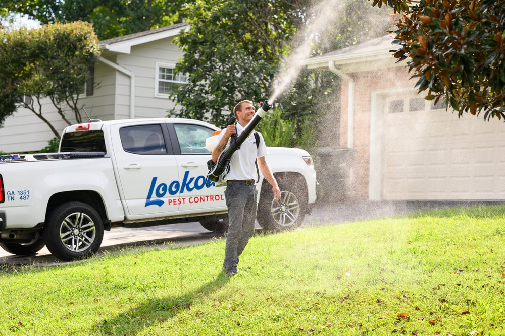 LOOKOUT PEST CONTROL - Updated October 2025 - 29 Photos & 47 Reviews ...