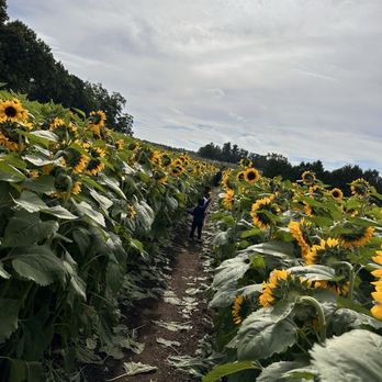 PARLEE FARMS - Updated August 2025 - 296 Photos & 147 Reviews - 95 ...