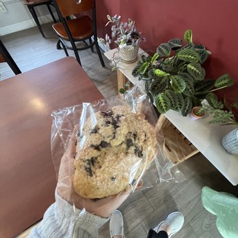 HYPER COFFEE - Updated July 2024 - 435 Photos & 446 Reviews - 203 S 1st ...