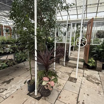 KENTUCKY NATIVE CAFE - Updated December 2025 - 468 Photos & 274 Reviews ...