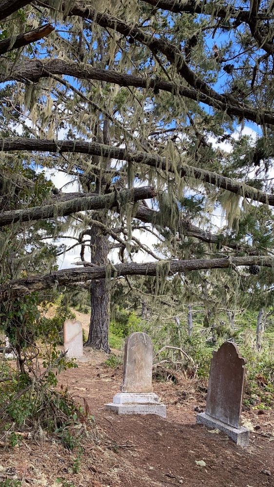 PURISSIMA CEMETERY - 35 Photos - 1103-1149 Verde Rd, Half Moon Bay ...