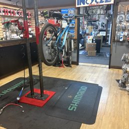 INCYCLE BICYCLES - Updated October 2025 - 188 Photos & 345 Reviews ...