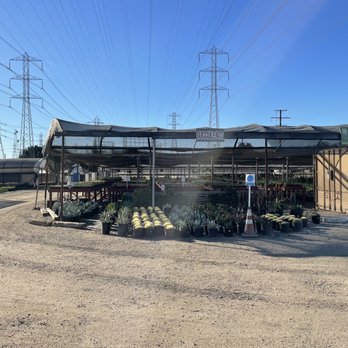 TORO NURSERY - Updated October 2025 - 116 Photos & 92 Reviews - 17585 ...