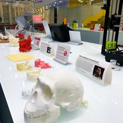 JAMES B. HUNT JR. LIBRARY - 101 Photos & 20 Reviews - 1070 Partners Way ...