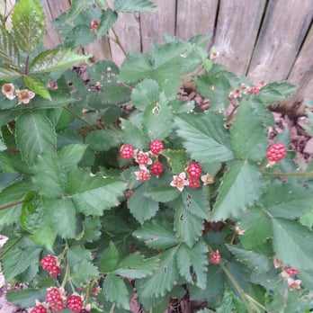 JIM SCOTT COMMUNITY CENTER - Updated January 2026 - 20 Photos - 3001 ...