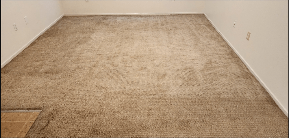 HEAVEN’S BEST CARPET CLEANING - Updated May 2024 - 25 Photos & 14 ...