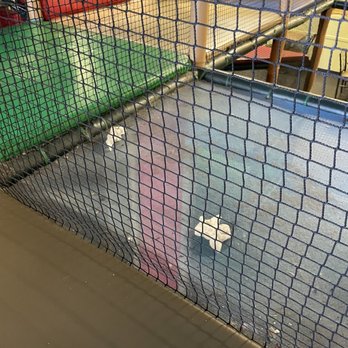 JUNGLE JAVA - Updated December 2025 - 70 Photos & 99 Reviews - 44595 ...