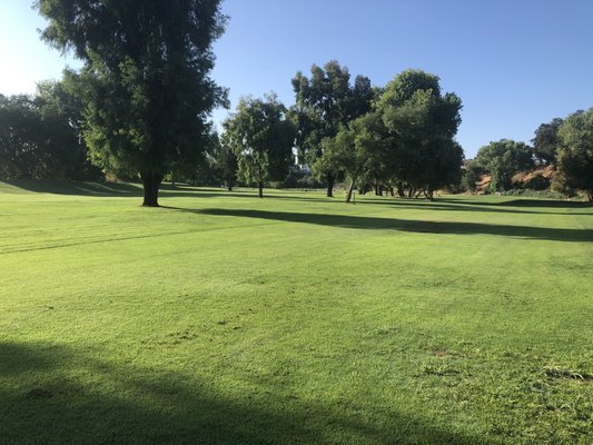 RIVER OAKS GOLF COURSE - 16 Photos & 40 Reviews - 3441 Golf Links Rd ...