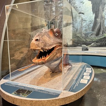 WESTERN SCIENCE CENTER - Updated May 2024 - 227 Photos & 67 Reviews ...