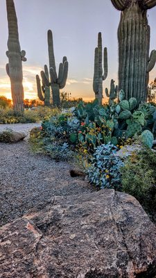 RIPARIAN PRESERVE AT WATER RANCH - Updated November 2024 - 716 Photos ...
