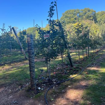 DEMAREST FARM - Updated August 2024 - 772 Photos & 333 Reviews - 244 ...