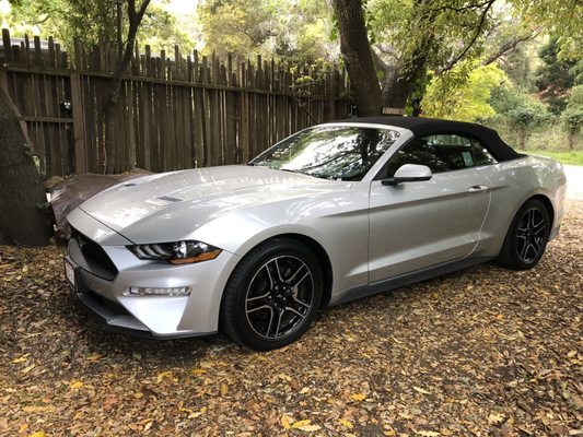 MARIN COUNTY FORD - Updated April 2025 - 81 Photos & 378 Reviews - 6995 ...