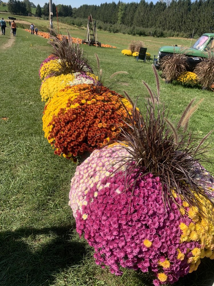 APPLEBERRY FARM - Updated August 2025 - 31 Photos & 12 Reviews - 8079 ...