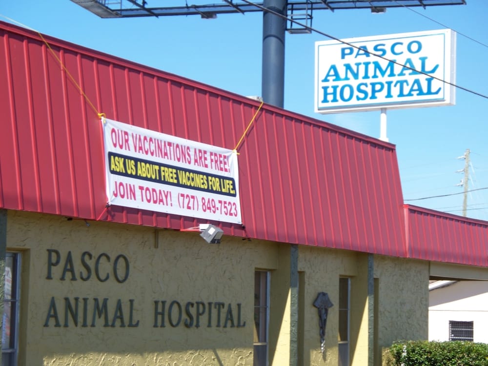 PASCO ANIMAL HOSPITAL - 11 Reviews - Veterinarians - 4605 US Hwy 19 ...