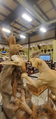 TOMMY GUN SHOOTING RANGE - Updated January 2026 - 21 Photos & 20 ...