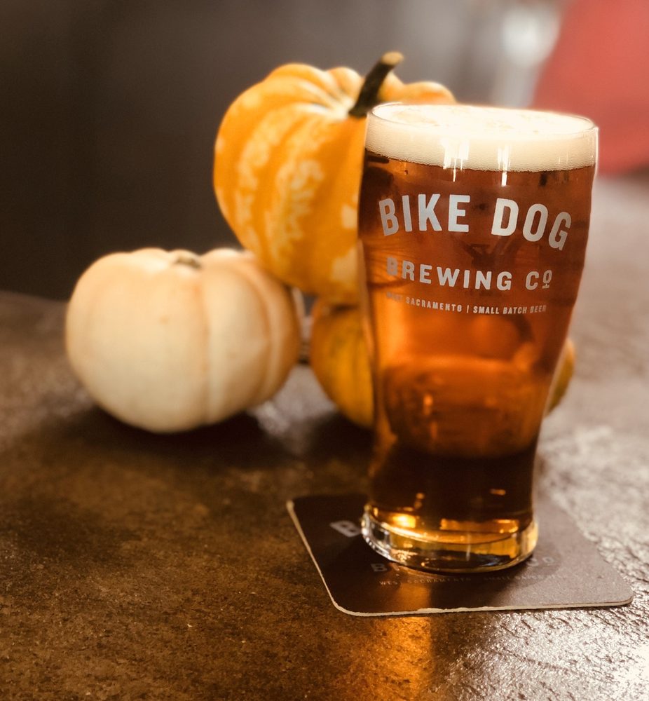Bike Dog Brewing Co - 302 Photos & 208 Reviews - Breweries - 2534 ...