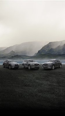 MOCK FORD SALES - Updated October 2025 - 53 Photos & 66 Reviews - 913 ...