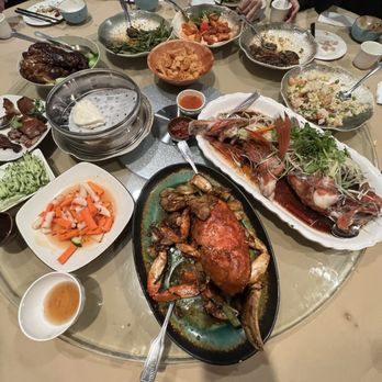 CHEF ZHU - Updated December 2025 - 502 Photos & 204 Reviews - 7845 ...