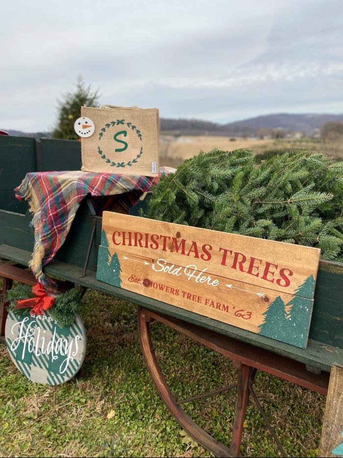 SHOWERS TREE FARM - Updated May 2025 - 465 Clear View Rd, Aspers ...