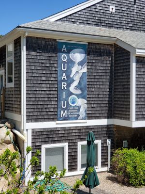 CAPE COD MUSEUM OF NATURAL HISTORY - Updated December 2025 - 42 Photos ...