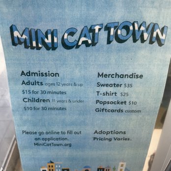 MINI CAT TOWN - 248 Photos & 108 Reviews - 2200 Eastridge Lp, San Jose ...
