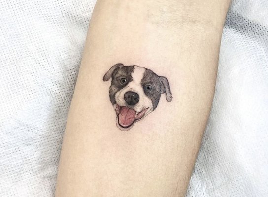 MODO INK TATTOO - Updated December 2025 - 1300 Photos & 617 Reviews ...