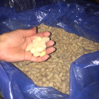 CHART ROOM - Updated June 2024 - 25 Photos & 41 Reviews - 1 Duval St ...