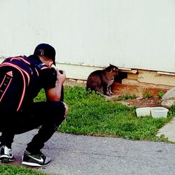 DIABLO VALLEY RANCH - 36 Photos - 11540 Marsh Creek Rd, Clayton ...