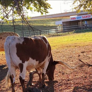 FUEL CITY - DALLAS - Updated July 2024 - 901 Photos & 1262 Reviews ...