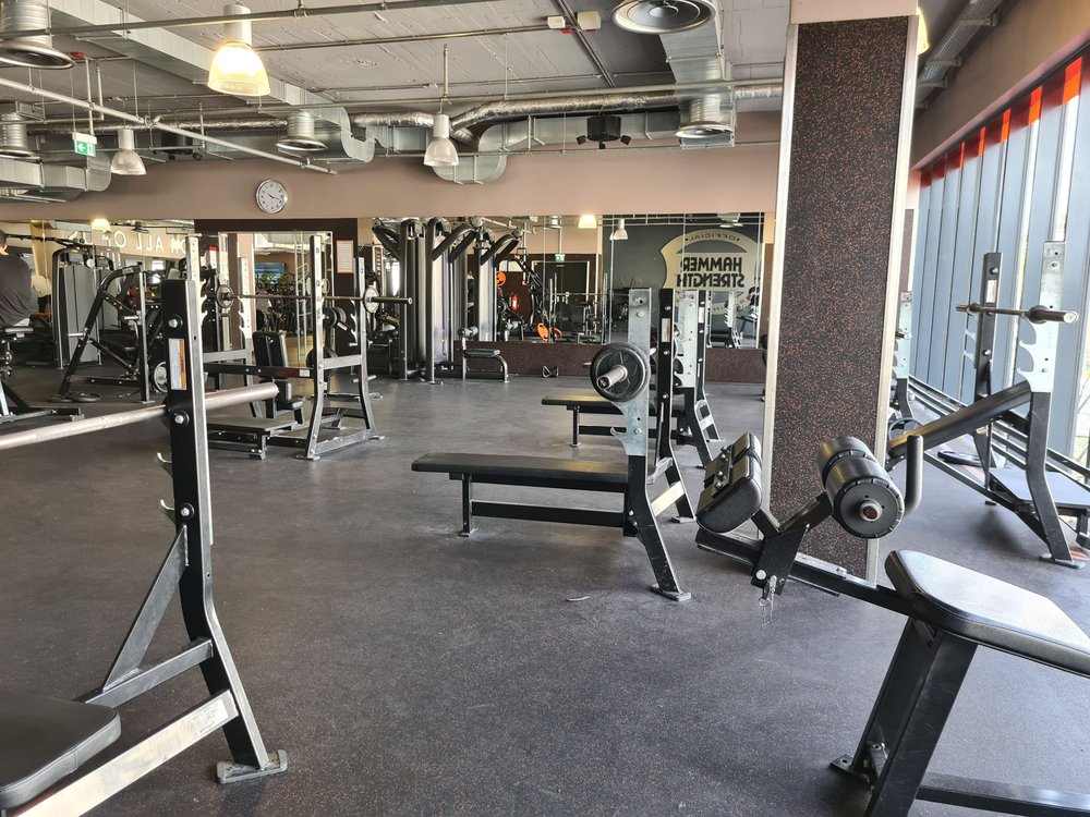 FITX - Updated March 2025 - 39 Photos - Hauptstr. 141, Berlin, Germany ...