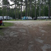 WILLIAMSON MOBILE HOME ESTATES & RV PARK - 1981 Highway 905, Conway ...