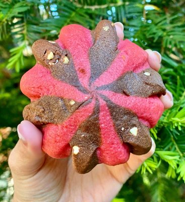 DUCHESS COOKIES - Updated May 2025 - 89 Photos & 67 Reviews - 331 S ...