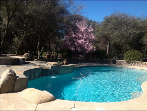 SHIPLEY POOL SERVICE - Updated December 2025 - 17 Photos & 16 Reviews ...