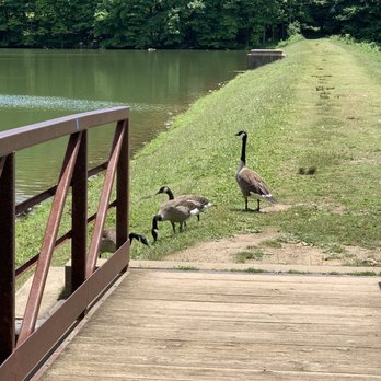 PETERS LAKE PARK - Updated March 2026 - 16 Photos - 560 Center Church ...