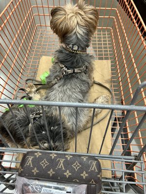 TARGET - Updated December 2025 - 45 Photos & 87 Reviews - 26301 104th ...