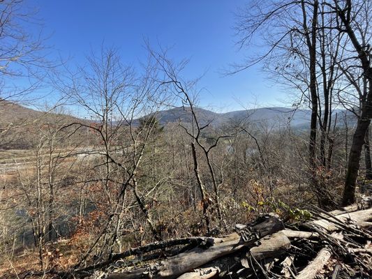 RIVERVIEW ESTATE BY BROPHY - Updated May 2025 - 72 Photos - 1650 Bodoit ...