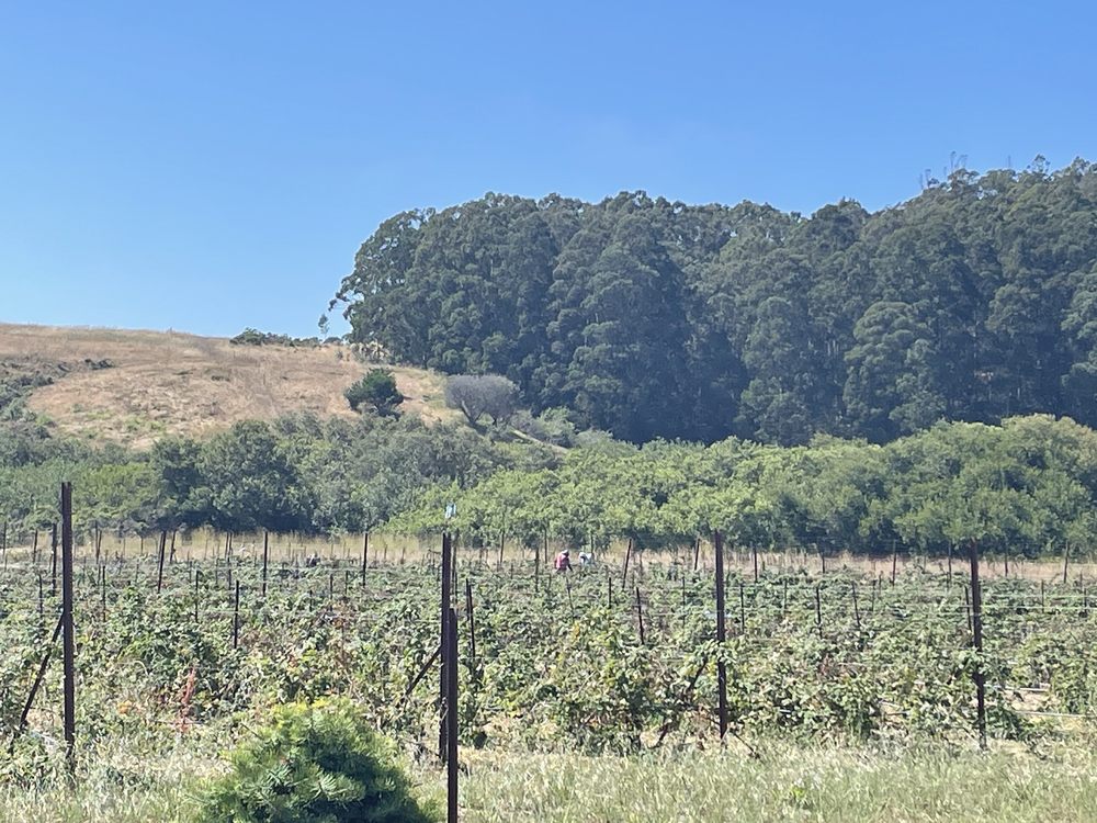 RANCHO OSO ROBLE - Updated April 2026 - 513 Stage Rd, Pescadero ...