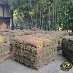 SOIL BUILDING SYSTEMS - Updated July 2025 - 29 Photos - 2101 Walnut ...