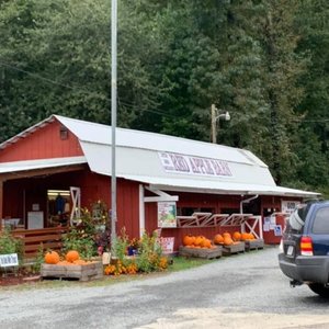 RED APPLE BARN - 37 Photos & 20 Reviews - 3379 Tailscreek Rd, Ellijay ...