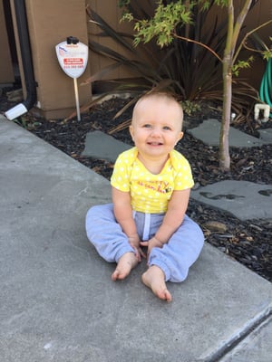 INTELLIGUARD SECURITY - 94 Photos & 44 Reviews - 518 Charity Way ...