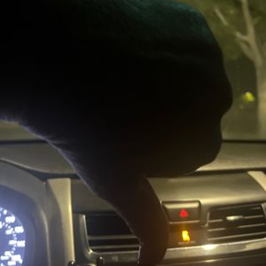 CHOYA JAPANESE CUISINE - 356 Photos & 370 Reviews - 25612 Crown Valley ...