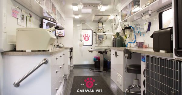 CARAVAN VET - Updated July 2025 - 11 Reviews - Minneapolis, Minnesota ...