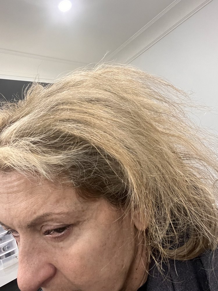 THE CURL AMBASSADORS - Updated June 2026 - 15 Photos - 376 Kingston ...