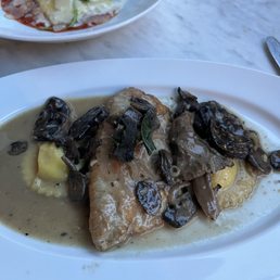 VIVACE - Updated October 2025 - 456 Photos & 428 Reviews - 4209 ...