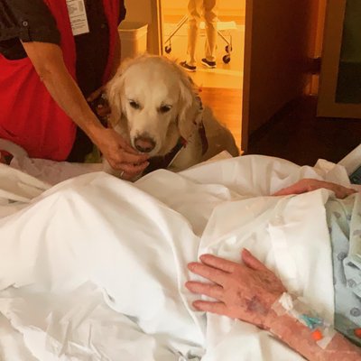 ADVOCATE CONDELL MEDICAL CENTER - Updated December 2025 - 25 Photos ...