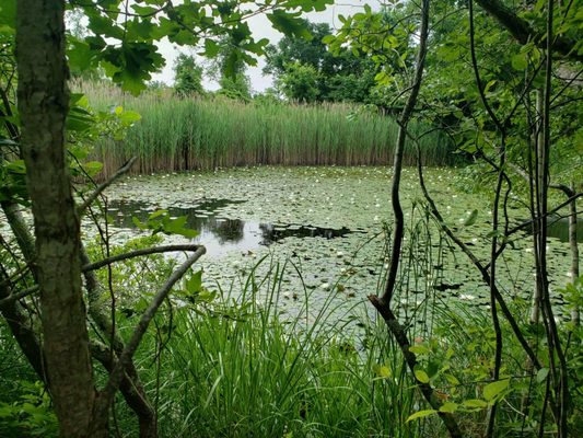 NINIGRET PARK - Updated May 2024 - 87 Photos & 28 Reviews - RI-1A ...